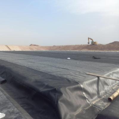 中国 黒色 1mm HDPE ゲオメムラン 魚場 プール ラインナー 現代のデザイン スタイル 販売のため
