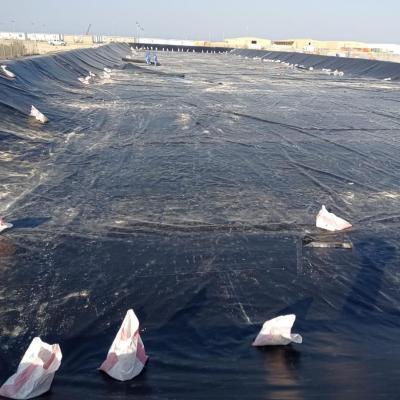 中国 黒 白 緑 青 GB/ASTM GRI-GM13 標準 HDPE LDPE LLDPE PVC EPDM 地膜 販売のため