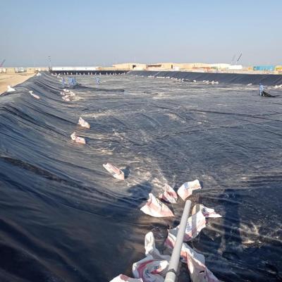 中国 2m-8m 幅 HDPE ダム ラインナー 1mm 地膜 ラインナー 水産養殖 魚場 販売 販売のため