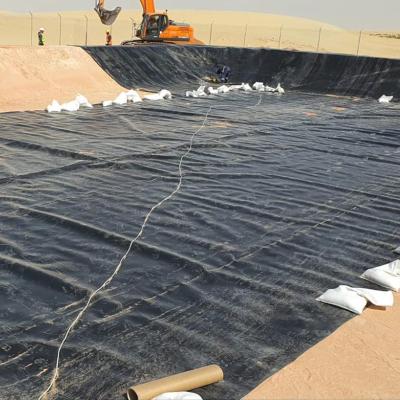 中国 0.4mm 厚さHdpe 地膜 現代のプール建設のためのフィッシュファームライナー 販売のため