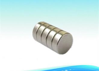 Cina Il neodimio del magnete dell'altoparlante rumoroso della terra rara N35/N50 con NiCuNi ha ricoperto in vendita