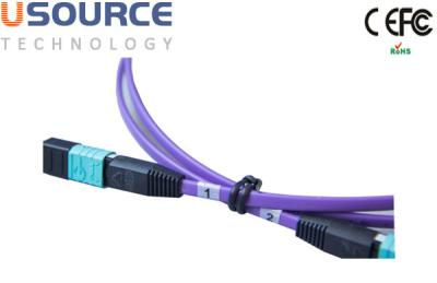 Cina 12 assemblaggi cavi dei fili MPO, cavo 3.0mm LSZH/colonna montante del tronco di 10G OM4 MPO in vendita