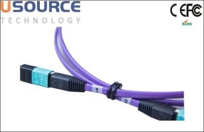 Cina il centro OM4 24 MPO di 5.5mm agli assemblaggi cavi di MPO per le reti di telecomunicazione in vendita