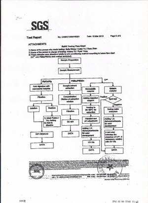 SGS - Grace Guangzhou Health Shoes Co.,Ltd