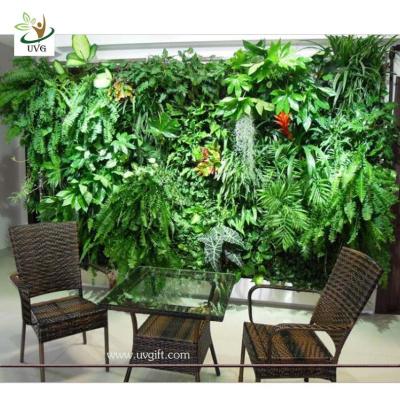 China UVG GRW06 Wholesale Fake Garden Walls design Plant wall for Library Decoration for sale