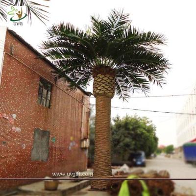 UVG High simulation outdoor artificial date palm trees with fiberglass trunk for decor