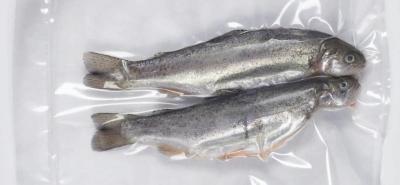 Китай Мешок прозрачных замороженных продуктов упаковывая, мешки хранения для упаковки рыб продается