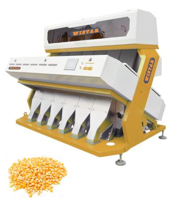 Cina Selezionatore di colore del grano di Wistar dei canali di WS-B5S 320 con la prestazione perfetta in vendita