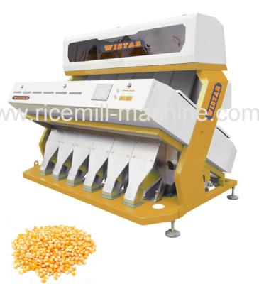 Cina La macchina Ws-B6S 384 del selezionatore di colore B5S/di B4S incanala Wistar per riso lungo in vendita