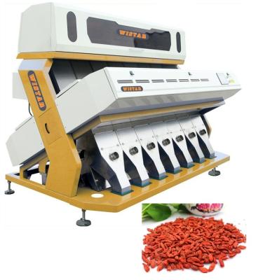 Cina Macchina del selezionatore di colore di Wistar dei canali di WS-B7S 448 per i chicchi/girasole caffè/dell'arachide in vendita