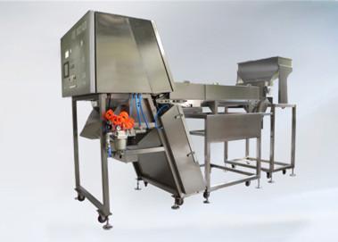 China el tipo de la correa de la máquina del clasificador del color 60ld2 para clasificar las zanahorias, Apple, rebanada del ajo, secó la cebolla en venta