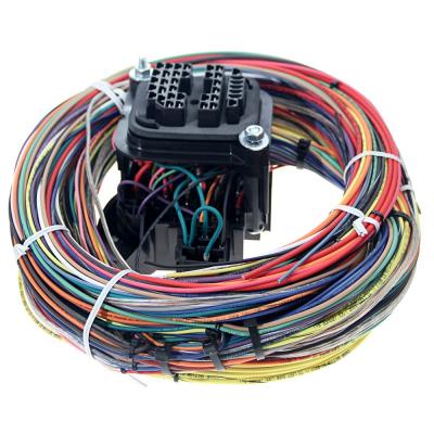 China Tubo de PVC masculino-femenino ODM OEM RoHS Compatible Luces de niebla cívica Arneses de cableado y ensamblaje de cables en venta