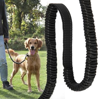 China Wholesale 25mm Dog Leashes Webbing Custom Durable Soft High Tenacity Pet Strap Band with Reflective Elastic Made Polyester/Nylon for sale