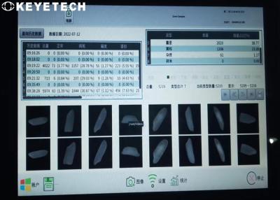 China Qualitätskontrollsichtqualitäts-Analysator mit CCD-Industrie-Kamera zu verkaufen
