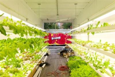 Cina Case prefabbricate d'agricoltura idroponiche del contenitore in vendita