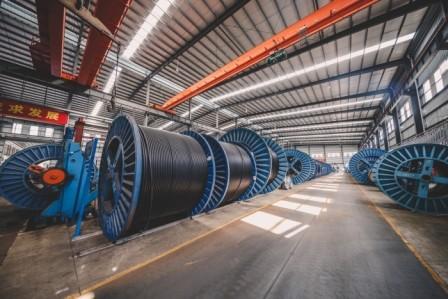 Fornecedor verificado da China - Shenzhen Chengtiantai Cable Industry Development Co.,Ltd