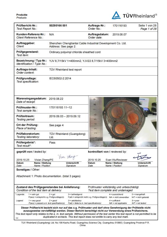 Test Report by TÜV Rheinland - Shenzhen Chengtiantai Cable Industry Development Co.,Ltd