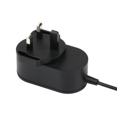 Cina Adattatori di potere del supporto della parete di 30VDC 600mA con approvazione EN60335 in vendita