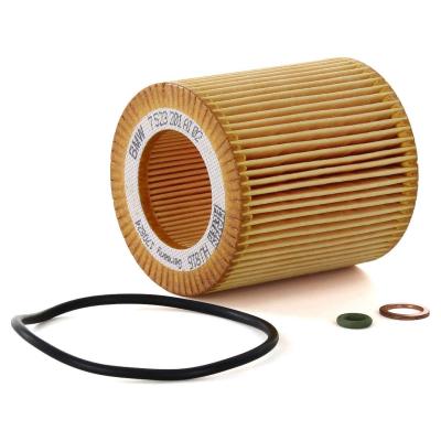 Cina Elemento di filtro dell'olio diesel per autoveicoli OEM 11427953129 LF634 CH10075 per IES Sostituire/riparazione in vendita
