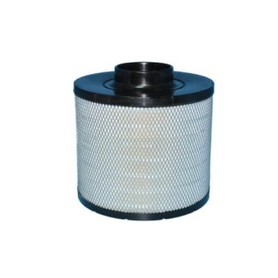 Cina Filtro d'aria 21398815 per Hydwell Altri dispositivi per auto B100094 e 04229648 in vendita