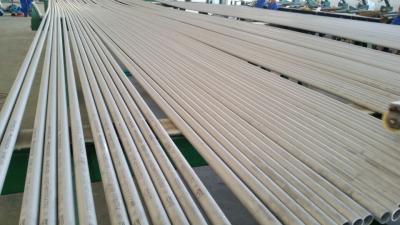 Cina Ferrite senza cuciture di ASME SA213/ASTM A213 e tubi austenitici dell'acciaio legato per il surriscaldatore/scambiatore di calore in vendita