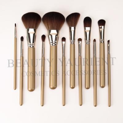 Cina spazzola sintetica Kit Skin Friendly di trucco del principiante del set di pennelli di trucco 12piece in vendita