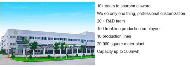 Customized Lithium Battery Pack 400V 50ah 20kwh Nmc for Electric Bus EV Car