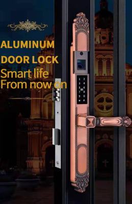 Cina Serratura per porte esterne in lega di zinco multifunzione con impronte digitali a doppio lato e protezione solare in vendita