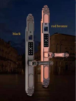 Cina Serratura per porte esterne in lega di zinco multifunzione con impronte digitali a doppio lato e protezione solare in vendita