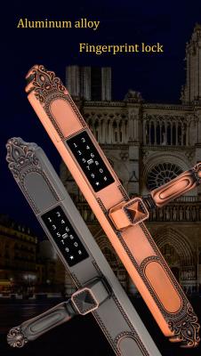 Cina Serratura per porte esterne in lega di zinco multifunzione con impronte digitali a doppio lato e protezione solare in vendita