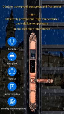 Cina Serratura per porte esterne in lega di zinco multifunzione con impronte digitali a doppio lato e protezione solare in vendita