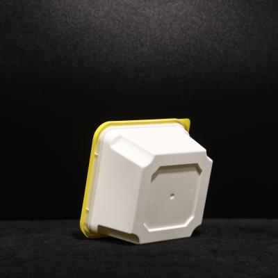 Cina Scatola da pranzo in plastica in PP a prova di perdite da 450 ml con tappo a scatto in vendita