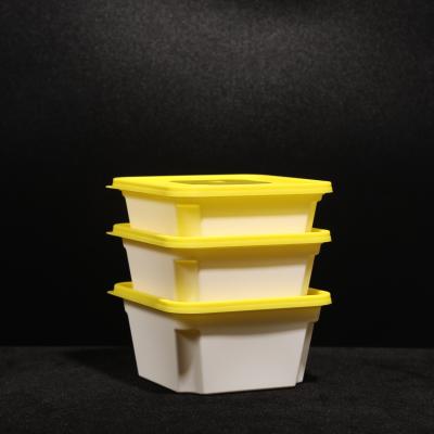 Cina Scatola da pranzo in plastica in PP a prova di perdite da 450 ml con tappo a scatto in vendita