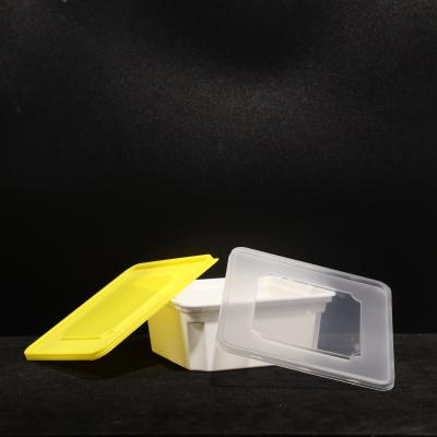 중국 스냅 펌프 플라스틱 분할 PP 점심 상자 간편한 피크닉 및 저장 판매용