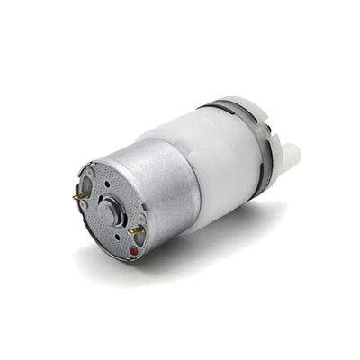 Cina Other Water Pump DC 12V Micro Diaphragm Water Pump in vendita