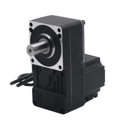 China 24V 40W Low-noise IP65 Channel Gate Brushless Servo Motor for sale