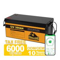 Quality 12V 24V 48V 51.2V Lifepo4 Battery Pack 100Ah 200Ah 300Ah For Home Backup Power System for sale