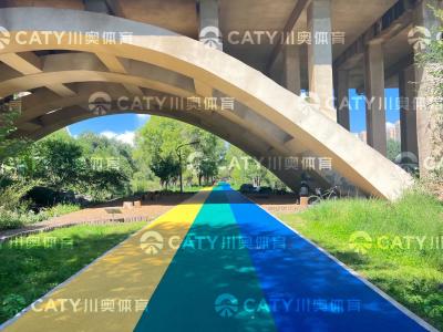 중국 야외 UV 방지 조깅 트랙 재료 EPDM 과립 PU 바인더 학교 대학 운동장용 판매용