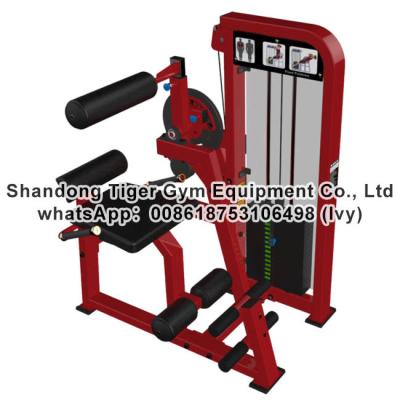 China Single Station Gym fitness equipment machine Abdominal Crunch / Lower Back exercise machine for sale