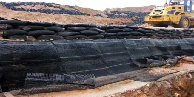 PP PE High Strength Plastic Uniaxial Geogrid for Retaining Wall From China