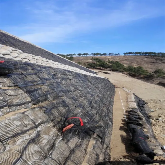 PP PE High Strength Plastic Uniaxial Geogrid for Retaining Wall From China