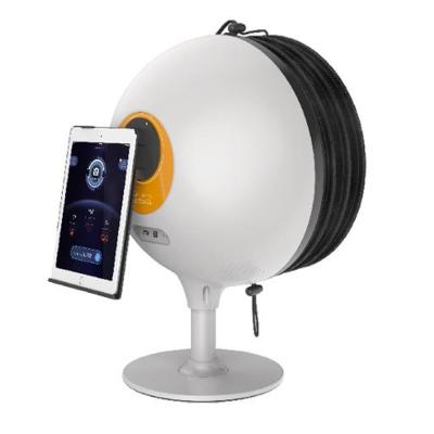 Cina Smart Skin Test Device Beauty Analyzer Machine in vendita