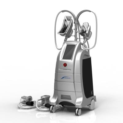 Cina Rimozione grassa che dimagrisce la macchina 4 Handpiece Cryolipolysis del laser in vendita