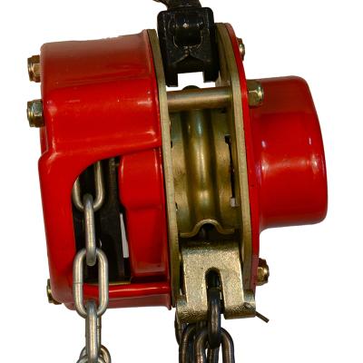 China Elevador de cadena con altura de elevación de 3 metros y diseño avanzado de acero de aleación en venta