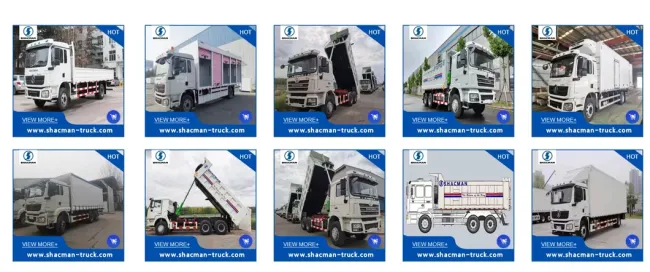 Shacman Box Cargo Trucks 6X4 Cargo Van Truck