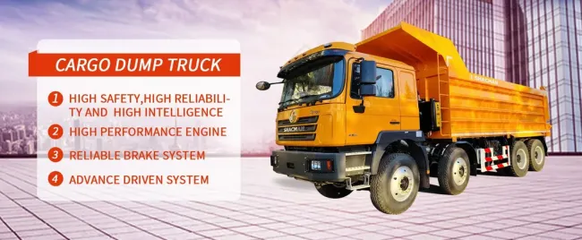 Shacman F3000 Cargo Transport Tipper Dump Dumper Lorry Truck for Construction/Mining