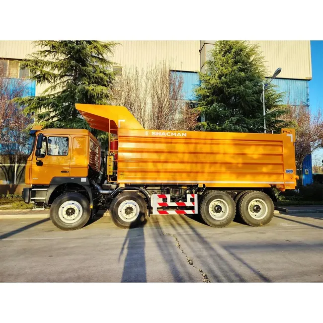 Shacman F3000 Cargo Transport Tipper Dump Dumper Lorry Truck for Construction/Mining