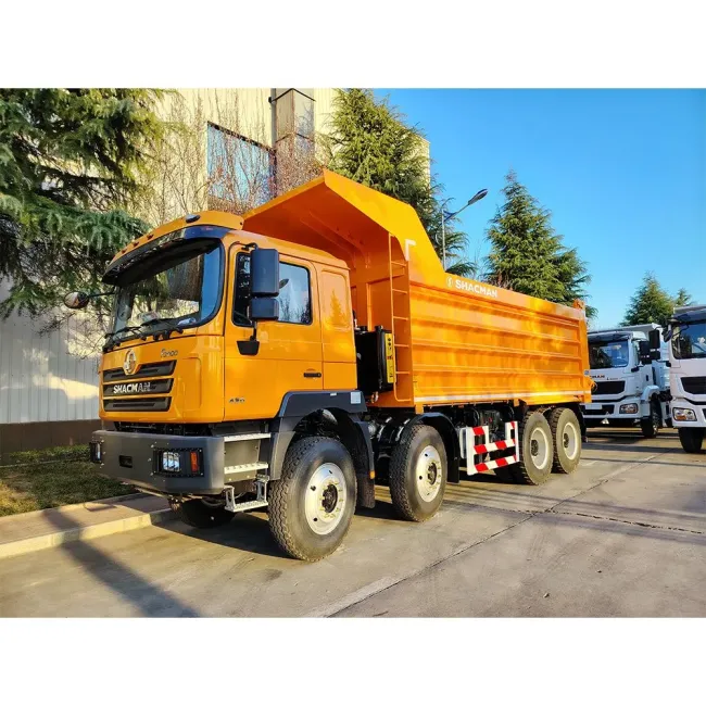 Shacman F3000 Cargo Transport Tipper Dump Dumper Lorry Truck for Construction/Mining
