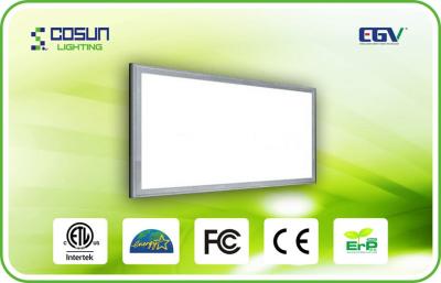 Cina il × 600mm di 300mm ha messo la luce di pannello ultra sottile del risparmio energetico LED per i negozi, 12W LED ultra sottile in vendita