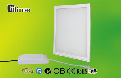 Cina Risparmio energetico della luce di pannello di Dimmable SMD LED di emergenza per la stanza/hotel di raduno in vendita